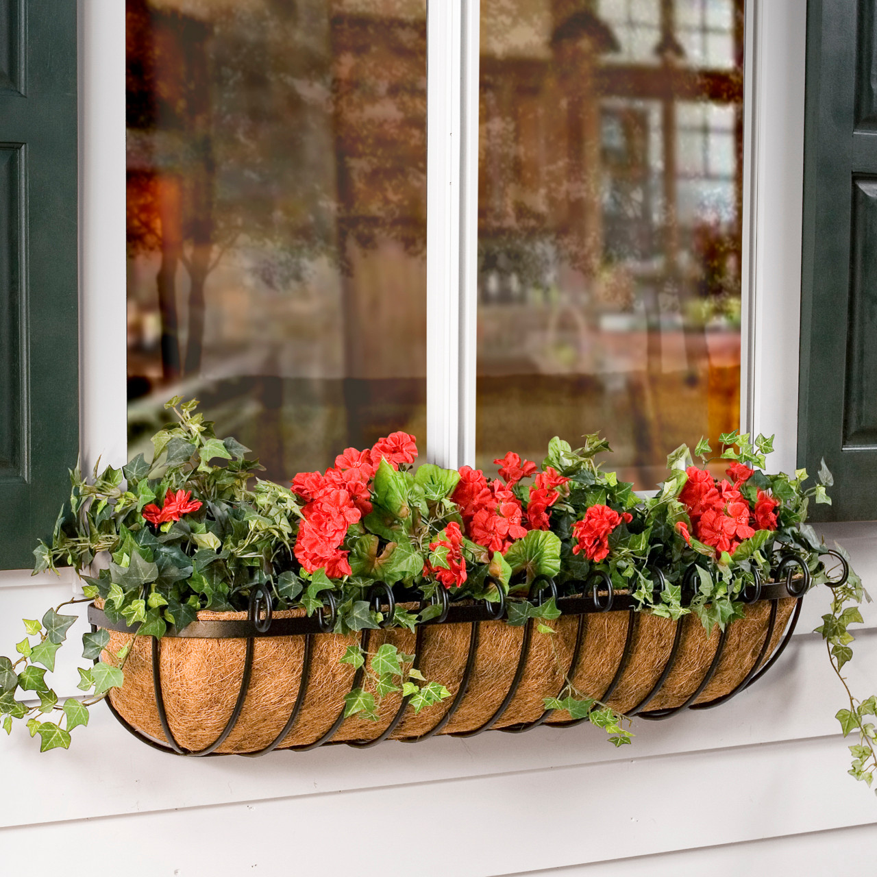 The Best Flowers to Plant in Window Boxes | Window World