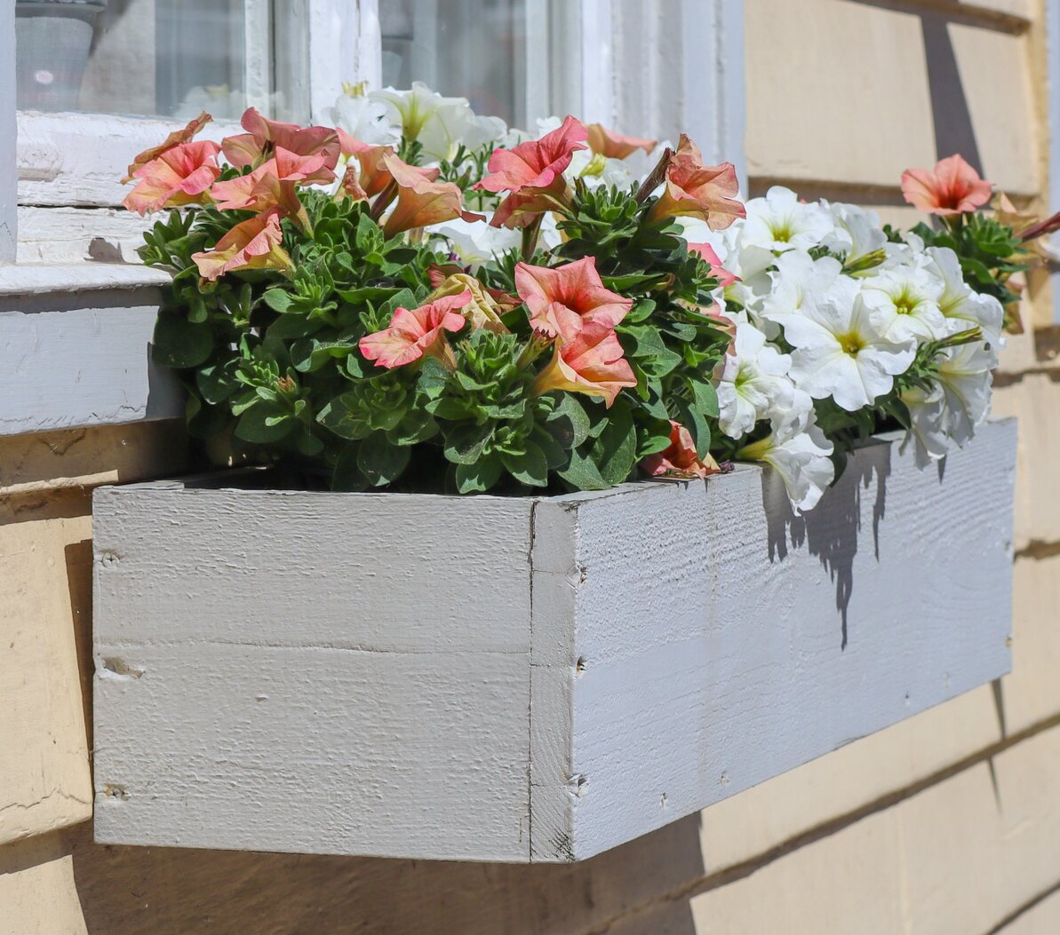 The Best Flowers to Plant in Window Boxes | Window World